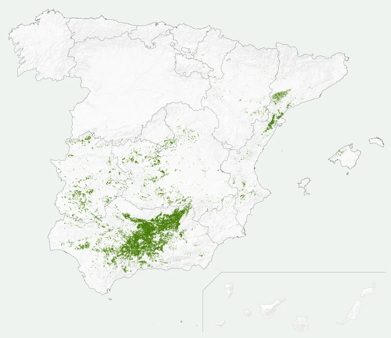 The olive oil wars - European Data Journalism Network - EDJNet