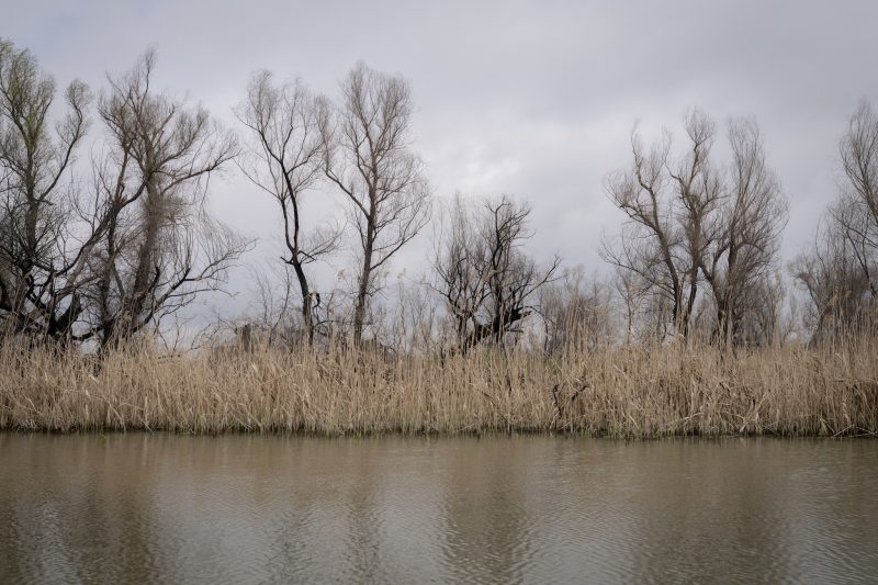 Romania burns: How the Danube Delta got on the fire map of Europe ...