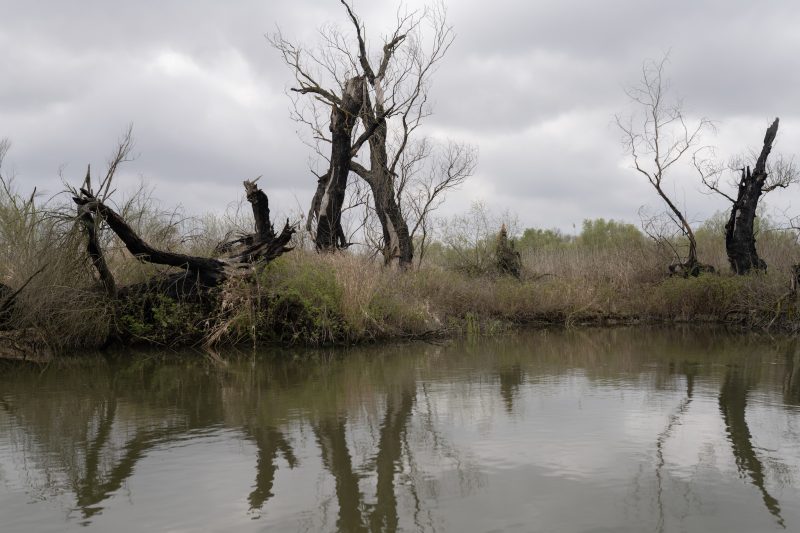 Romania burns: How the Danube Delta got on the fire map of Europe ...