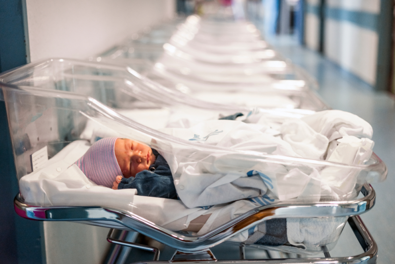 Fertility Rates In The Eu Are Plummeting With Few Exceptions 9570