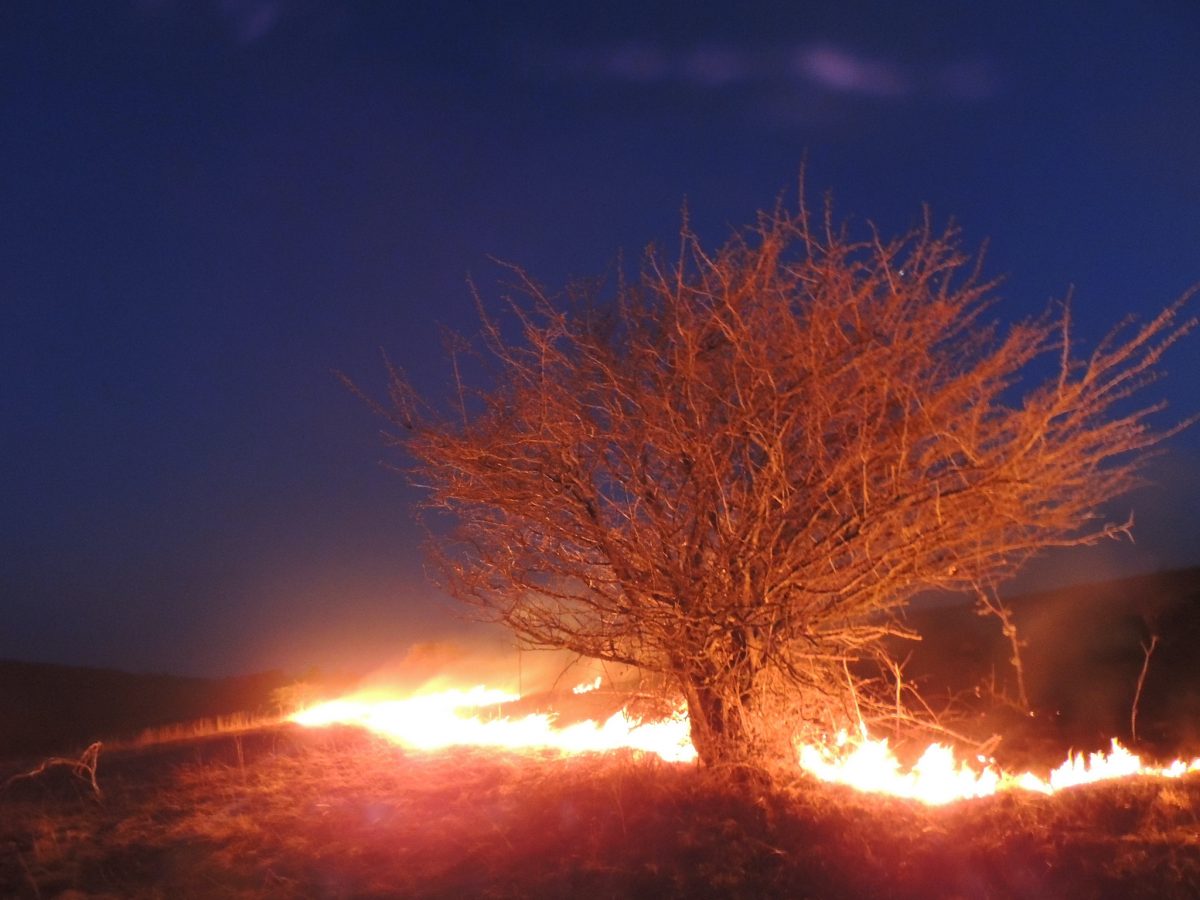 Rural depopulation is playing a major role in causing fires in Romania ...