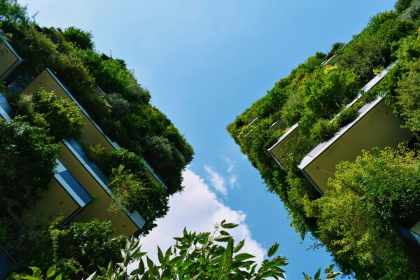 Mapping greenery in Europe: how green is your city? - European Data ...
